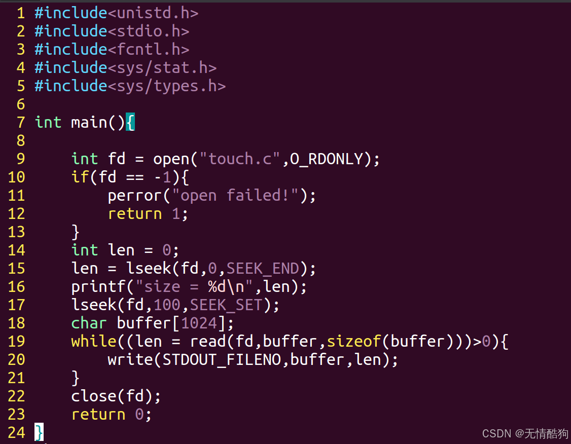 Linux 文件IO-CSDN博客