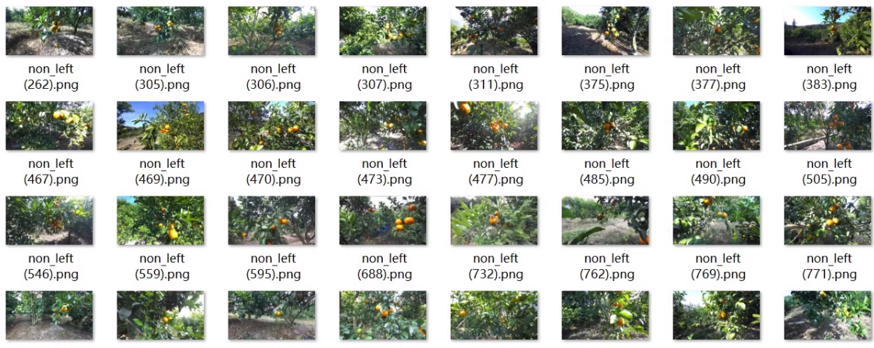 智慧果园管理平台 果园产量估算系统 智能农业与精准采摘 柑橘果实检测数据集 柑桔果实检测数据集在深度学习领域的应用柑橘智能采摘平台 Csdn博客