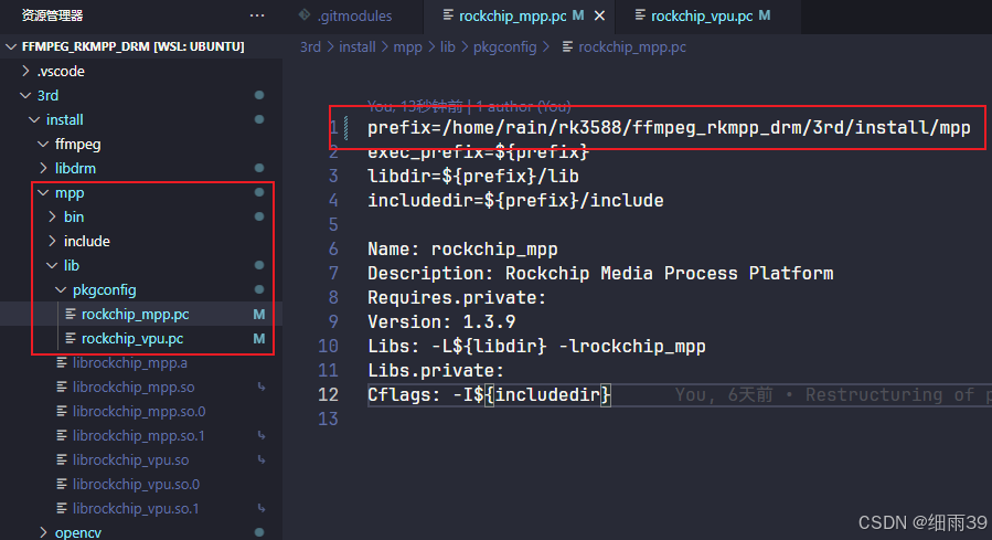 全网最细万字教学！RK3588使用ffmpeg+rkmpp硬解码+DRM渲染显示MP4视频【纯代码】_ffmpeg mpp-CSDN博客