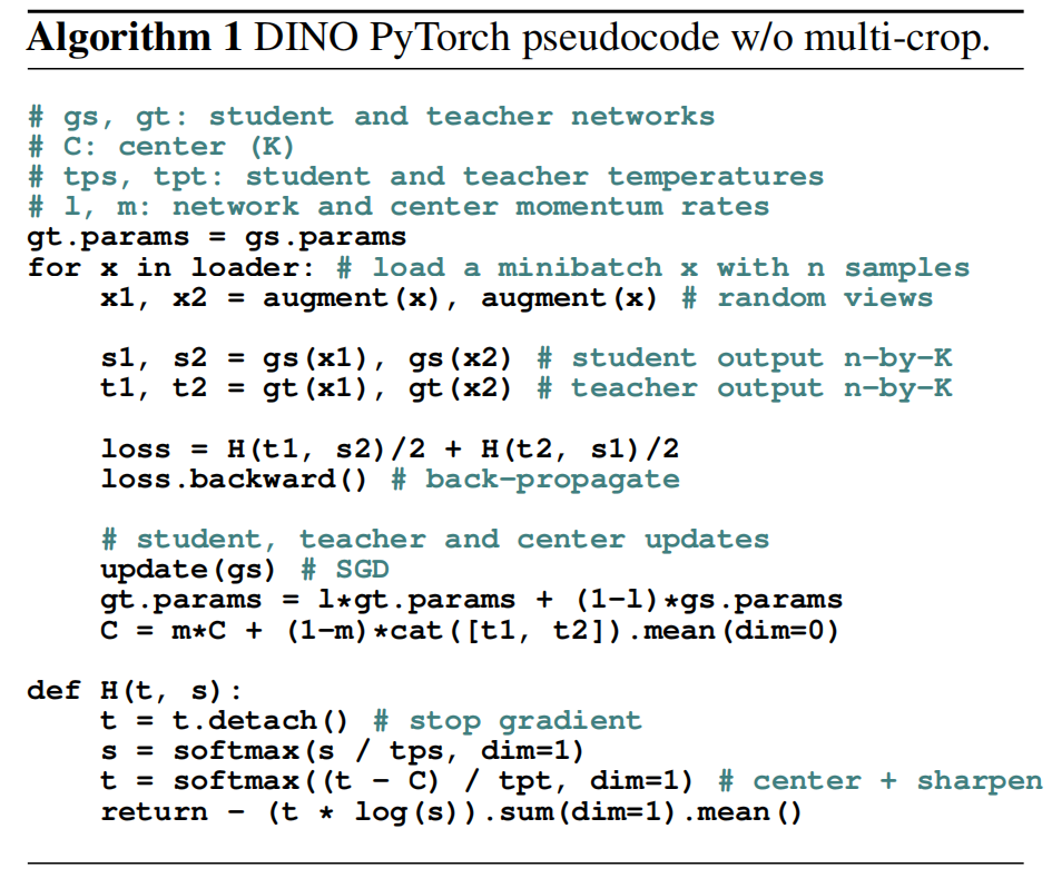 搞懂DINO-CSDN博客