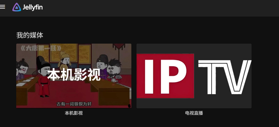 jellyfin 添加 iptv直播 (运营商电视盒子rtsp)_jellyfin iptv-CSDN博客