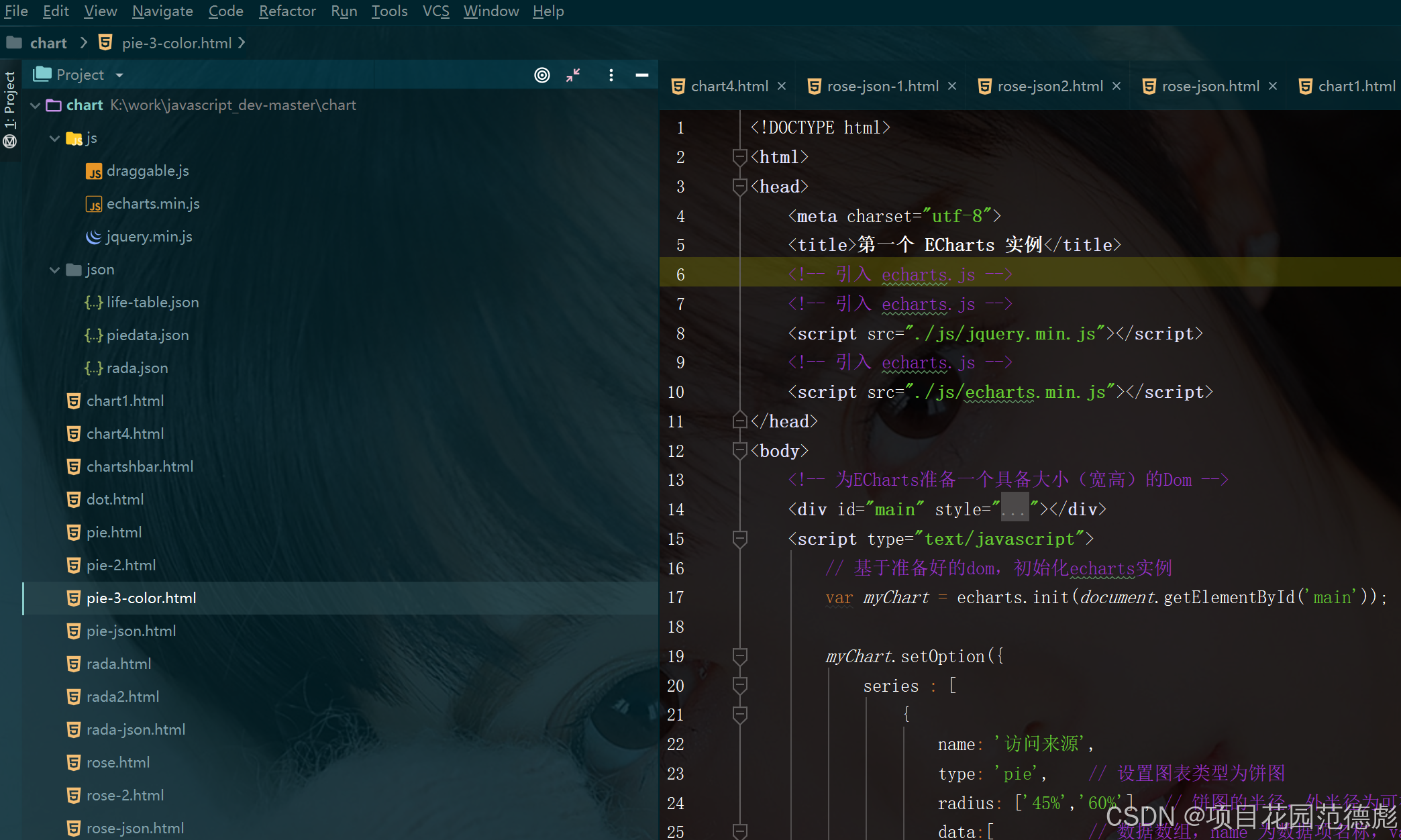 【web前端实战】echarts常见饼图图表，饼图，环形图（轮胎图），玫瑰图实现【附学习教程】前端饼图 Csdn博客