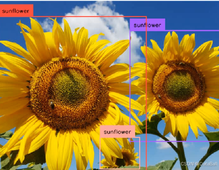 数据集-目标检测系列- 花卉 向日葵 检测数据集 sunflower ＞＞ DataBall-CSDN博客