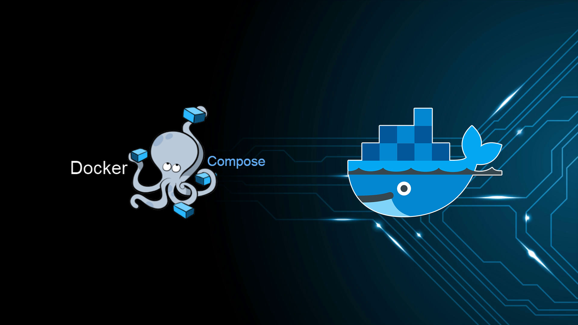 Docker与compose:容器化部署全指南docker的容器和compose Csdn博客 6479