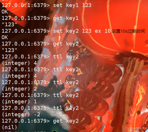 Redis数据类型——stringredis存二进制数据 Csdn博客
