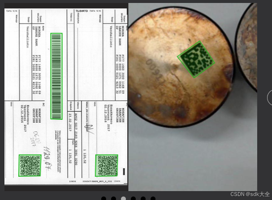 Dynamsoft Capture Vision for Node.js-CSDN博客