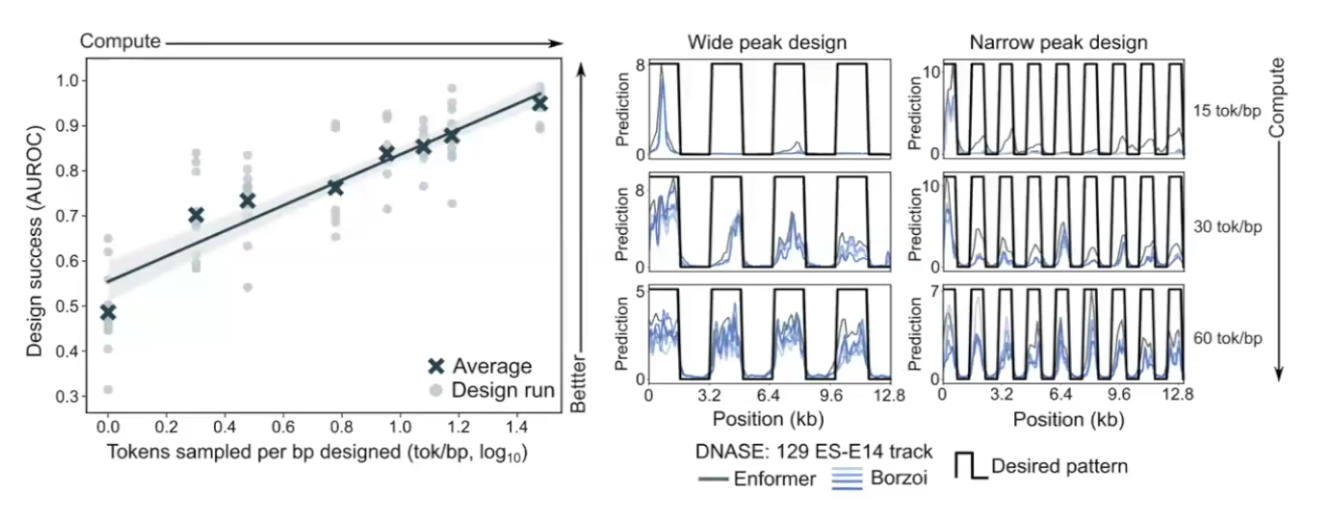 Evo2 论文讲解_基因 模型 evo2-CSDN博客
