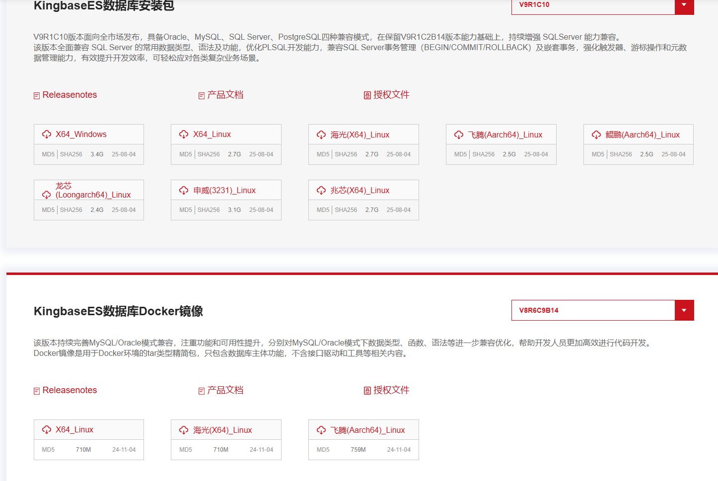 通过Docker安装KingbaseES V8并激活License,同时postgis安装-CSDN博客