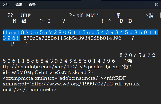BuuCTF 文件中的秘密 1--Misc-CSDN博客