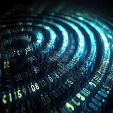 004 双指针——盛最多水的容器-CSDN博客