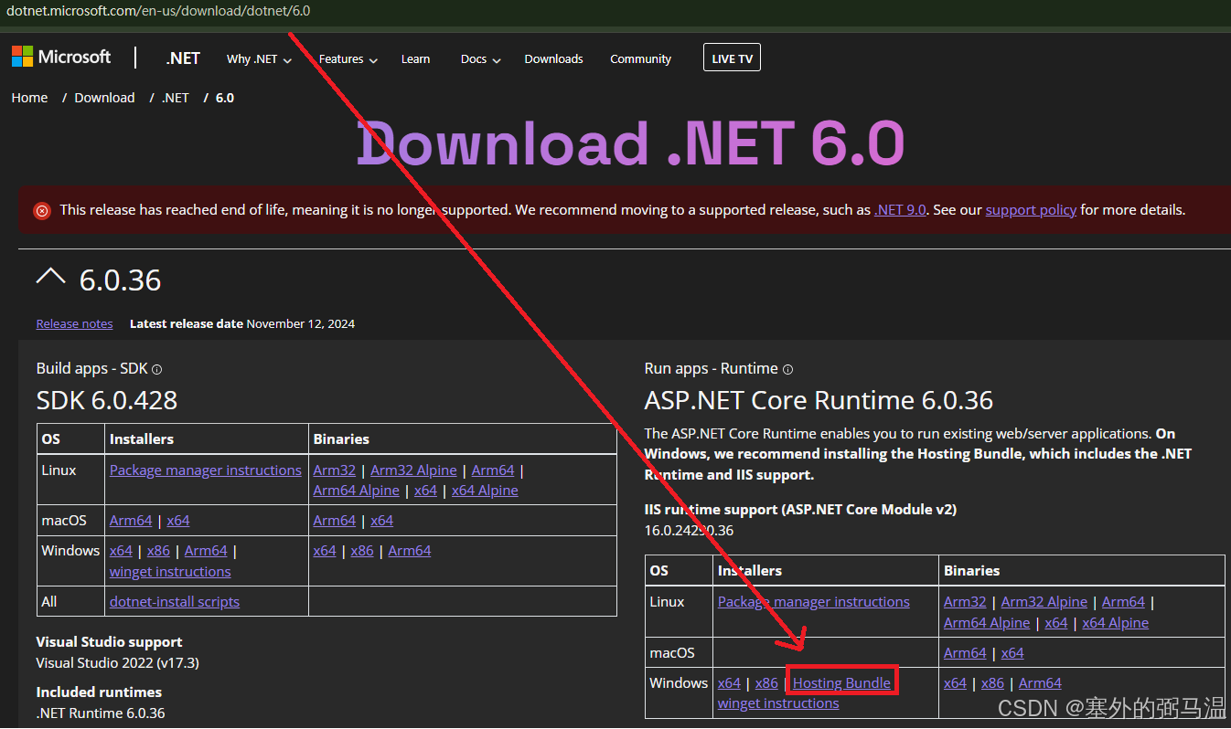 NETCore项目部署IIS详细步骤_netcore iis部署时 如何配置首页-CSDN博客