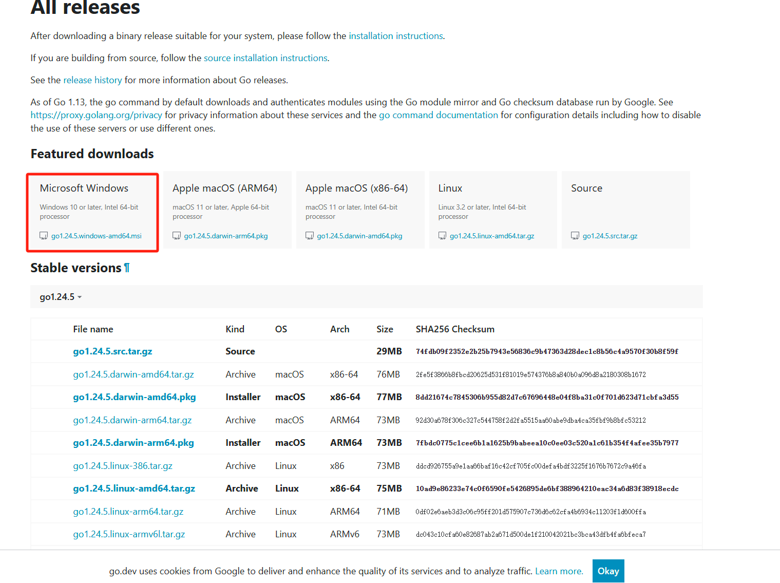 超详细的Windows系统下的Golang环境配置教程_golang环境配置 windows-CSDN博客