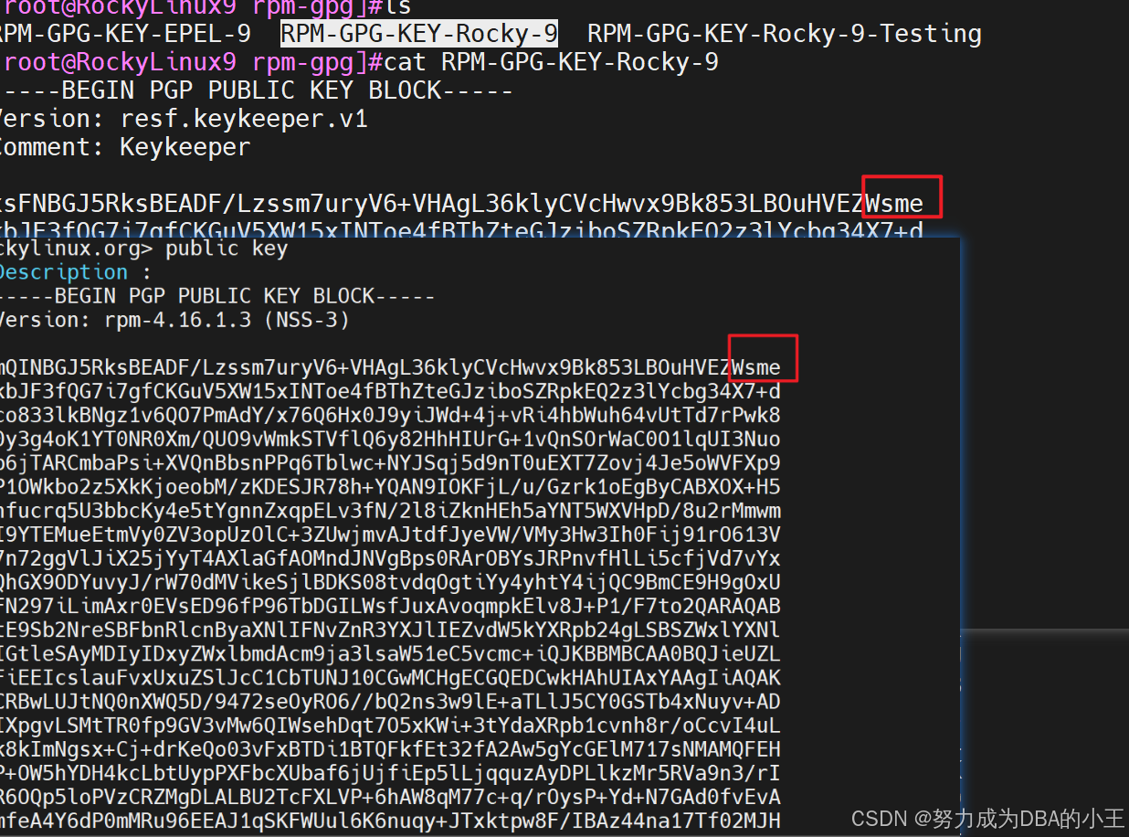 Linux（软件包管理rpm、rpm包管理器详细）_rpmdb.sqlite-CSDN博客