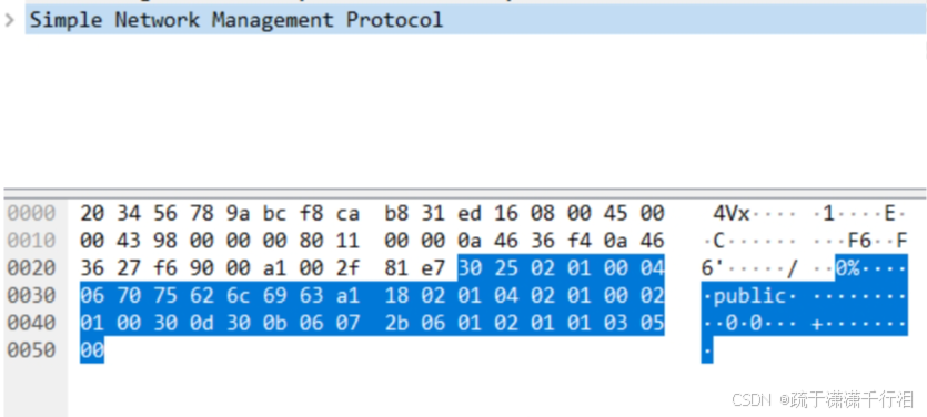 SNMP BER编码-CSDN博客