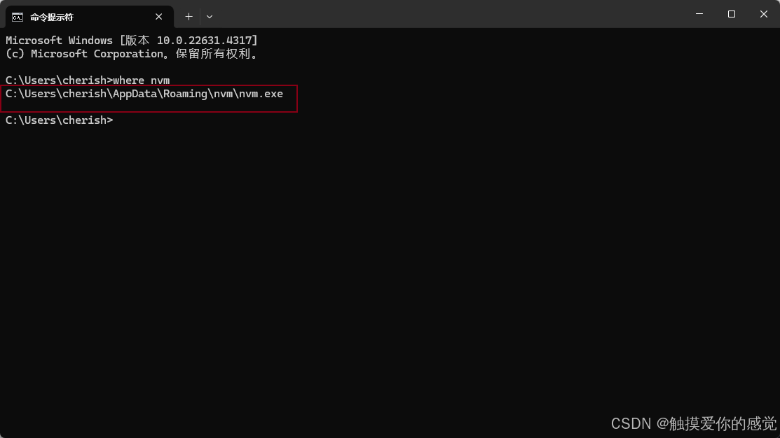 windows安装nvm-CSDN博客