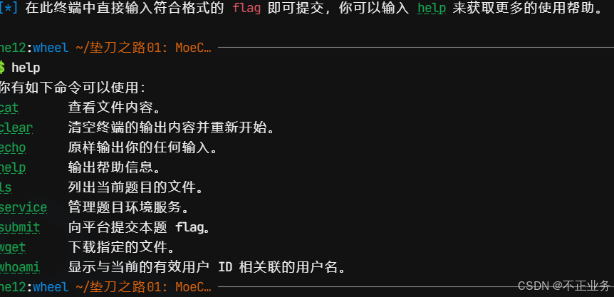 寒假归来，小白的我去了西电开始ctf（web篇第一天）西电ctf终端 Csdn博客 