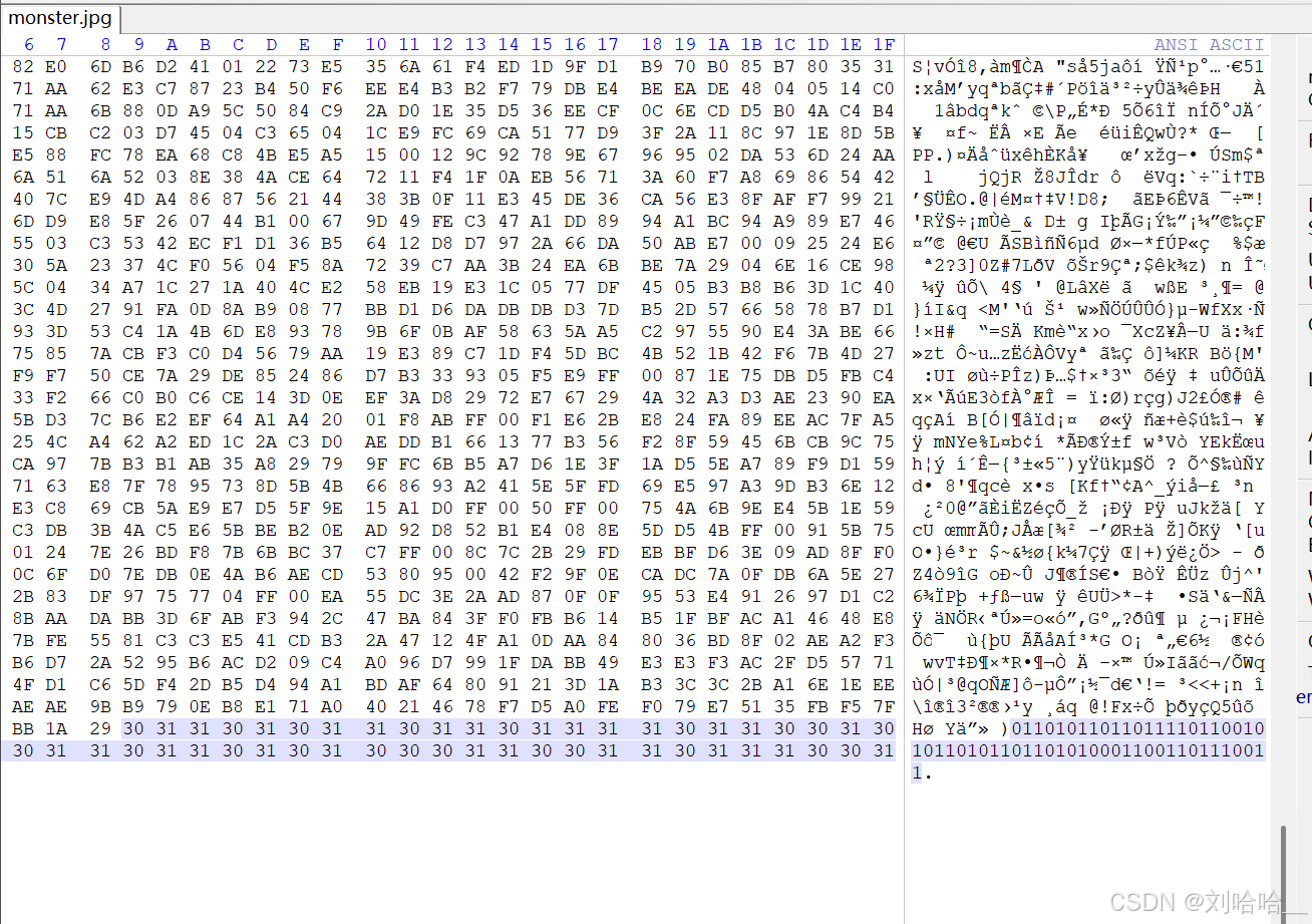 BUUCTF(Misc)——另一个世界_buuctf 另一个世界-CSDN博客