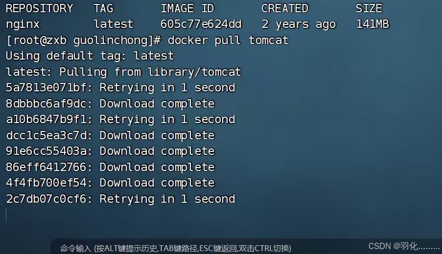 docker + tomcat + nginx 配置负载均衡_使用docker部署nginx和tomcat实现负载均衡-CSDN博客