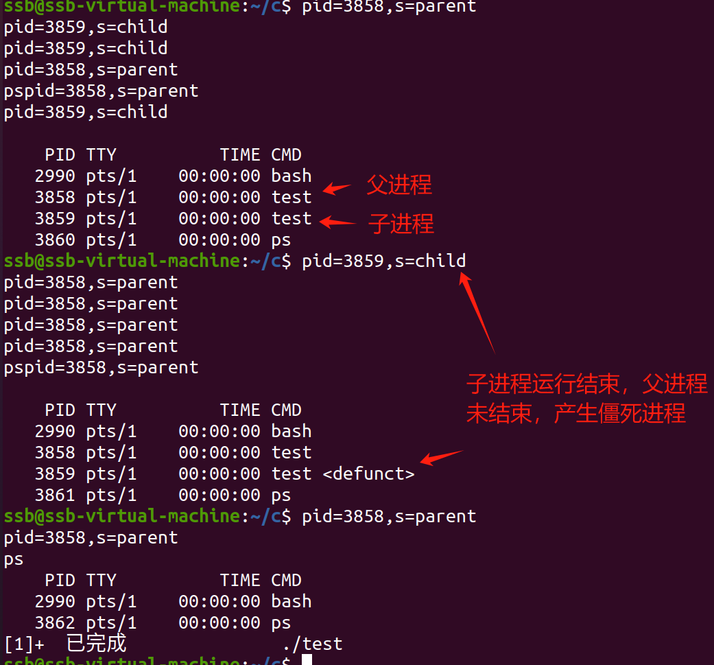 进程fork+替换exec=mybash-CSDN博客