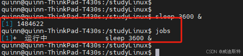 linux命令：用于从当前系统shell 的作业控制中移除一个或多个后台作业的命令disown详解_linux disown-CSDN博客