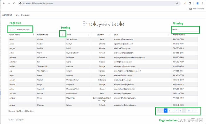 使用DataTables.net的ASP.NET 8——第1部分——基础_data table net-CSDN博客