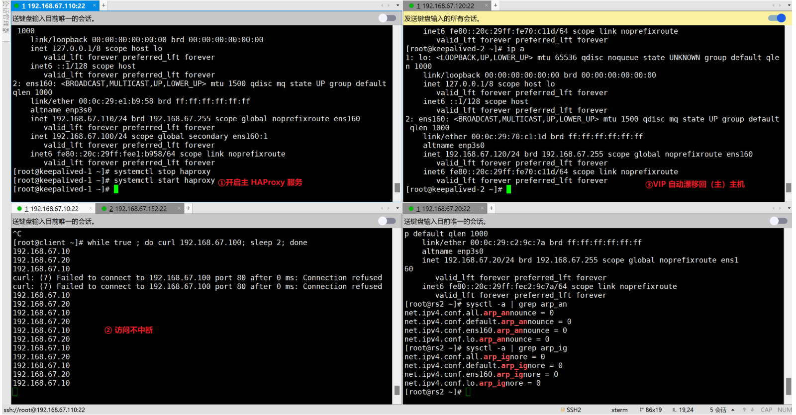 HAProxy + Keepalived 高可用集群_haproxy keepalived-CSDN博客