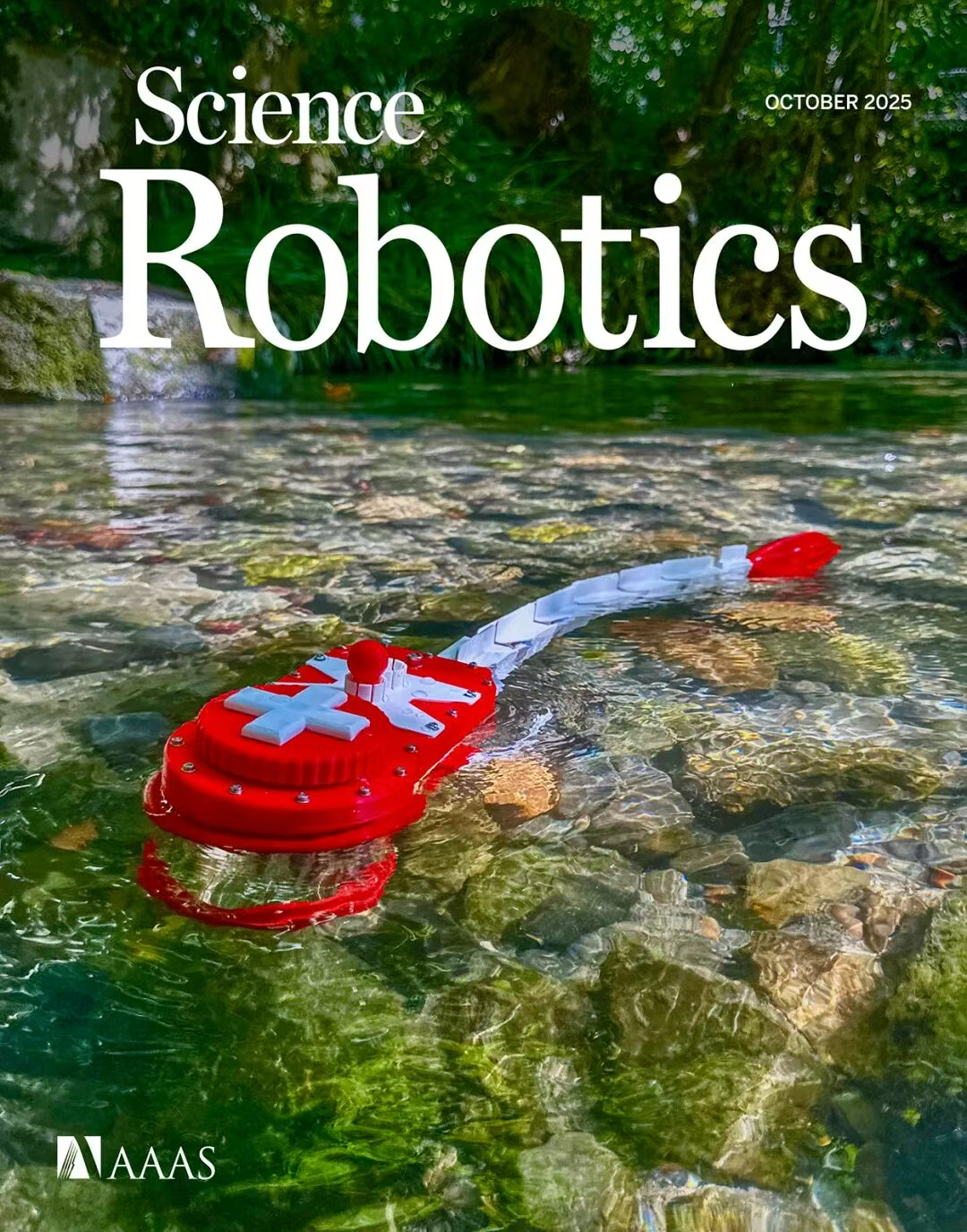 Sci.Rob.最新封面！EPFL造出复现斑马鱼视动反应的仿生机器鱼-CSDN博客