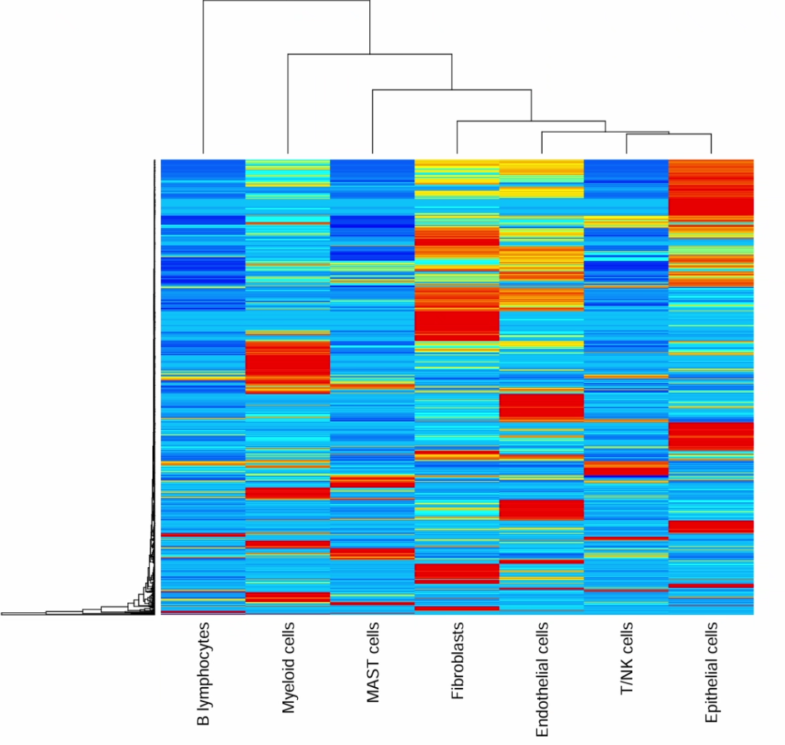 使用单细胞测序数据生成CIBERSORT参考特征矩阵_cibersortx-CSDN博客