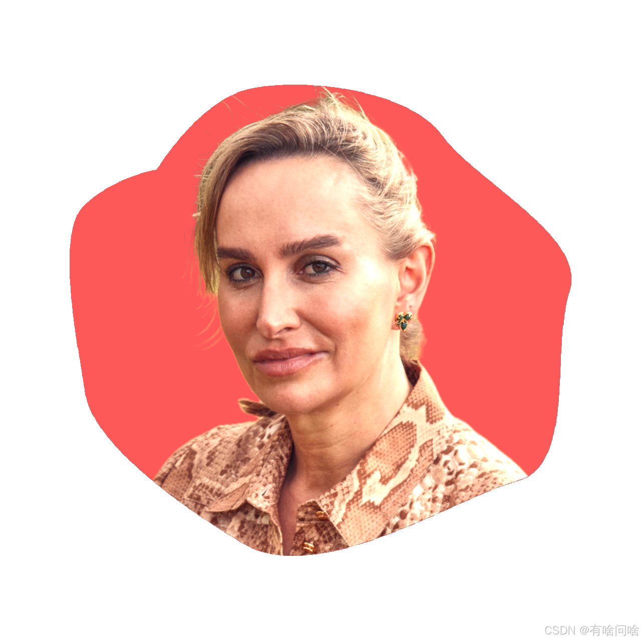 【有啥问啥】多模态理解大模型之视觉问答 (VQA) 技术详解-CSDN博客