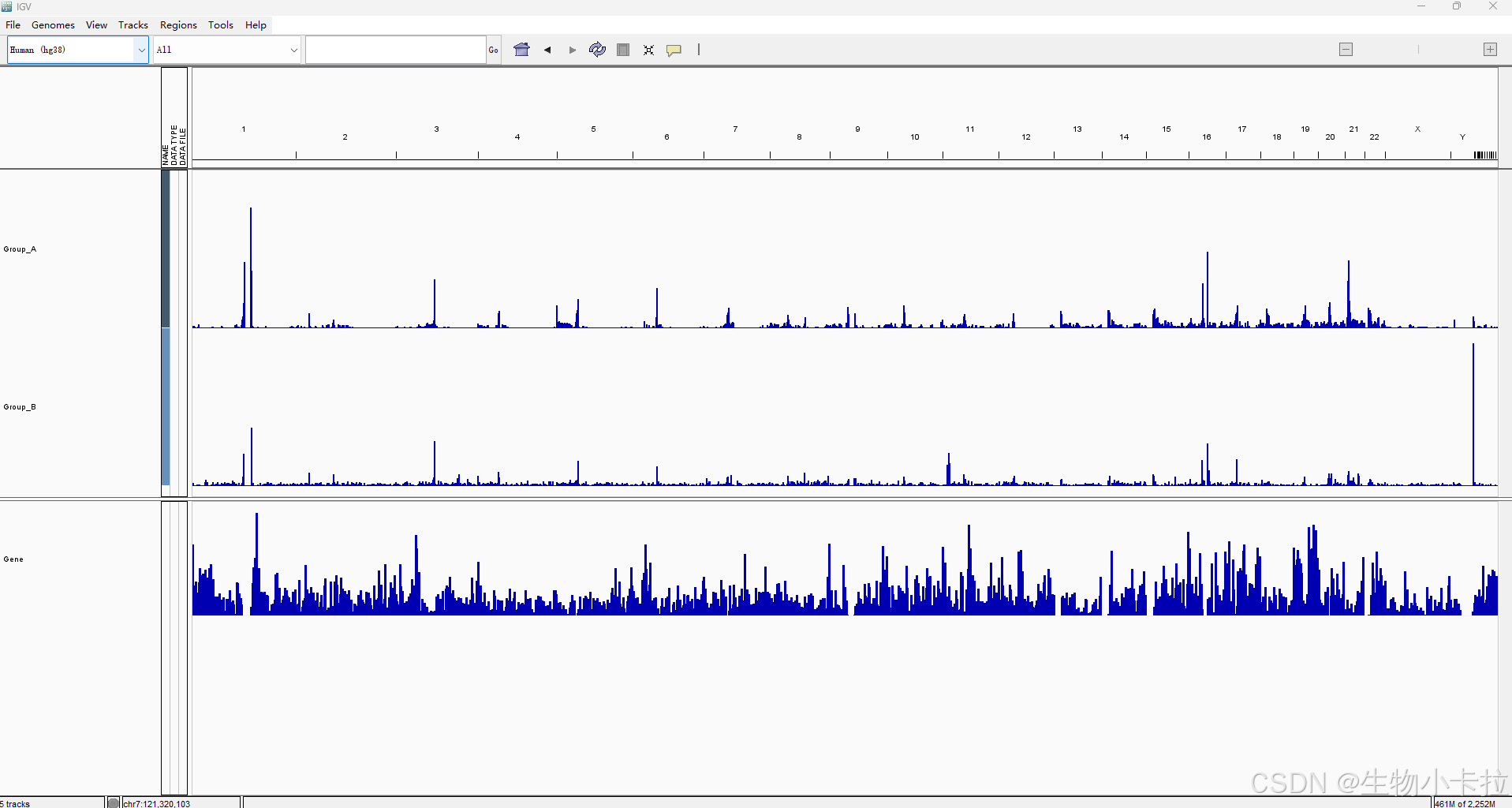 IGV软件系列--peak可视化 -CSDN博客