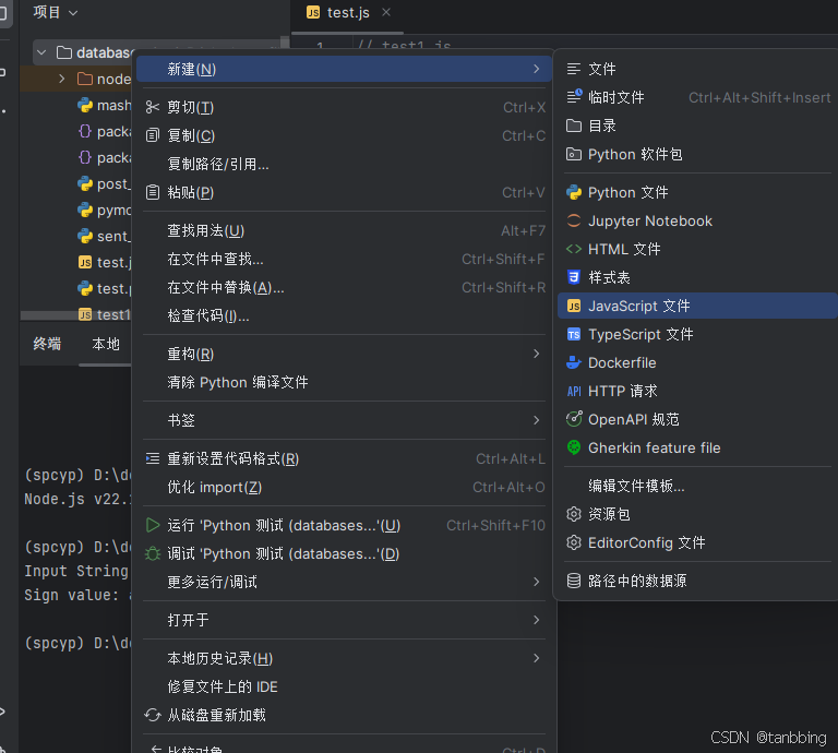 在pycharm2023.2.5 (Professional Edition) python项目中 添加JavaScript库并创建js文件进行运行_pycharm安装nodejs-CSDN博客