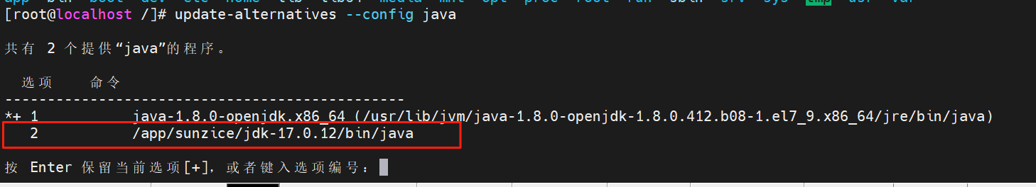 在Linux中安装配置Java17保姆级攻略_linux安装java17-CSDN博客