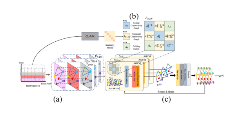 Dynamic Graph Representation Learning forSpatio-Temporal Neuroimaging Analysis-CSDN博客