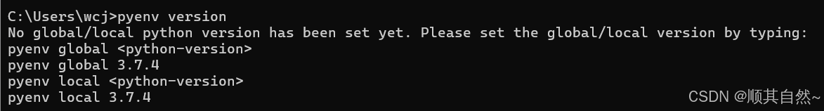 Python多版本管理工具——pyenv安装及使用-CSDN博客