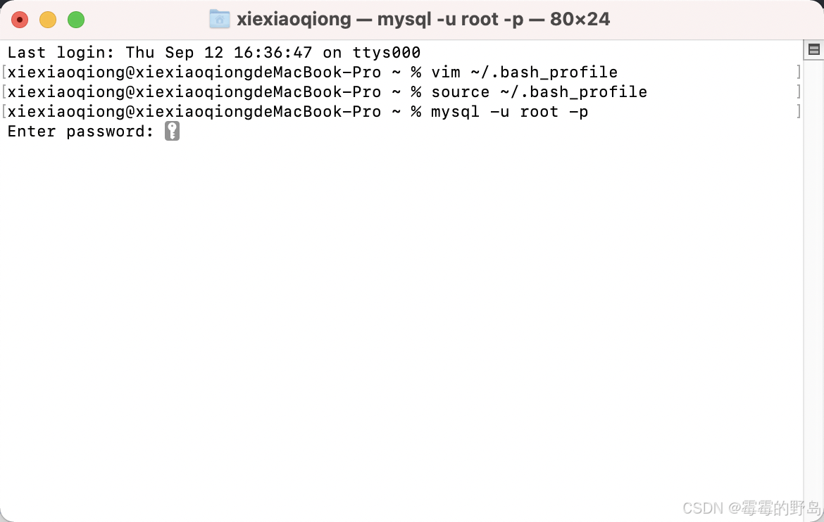 MacBookPro（M1芯片）安装Java开发环境及软件_mac安装java开发环境-CSDN博客