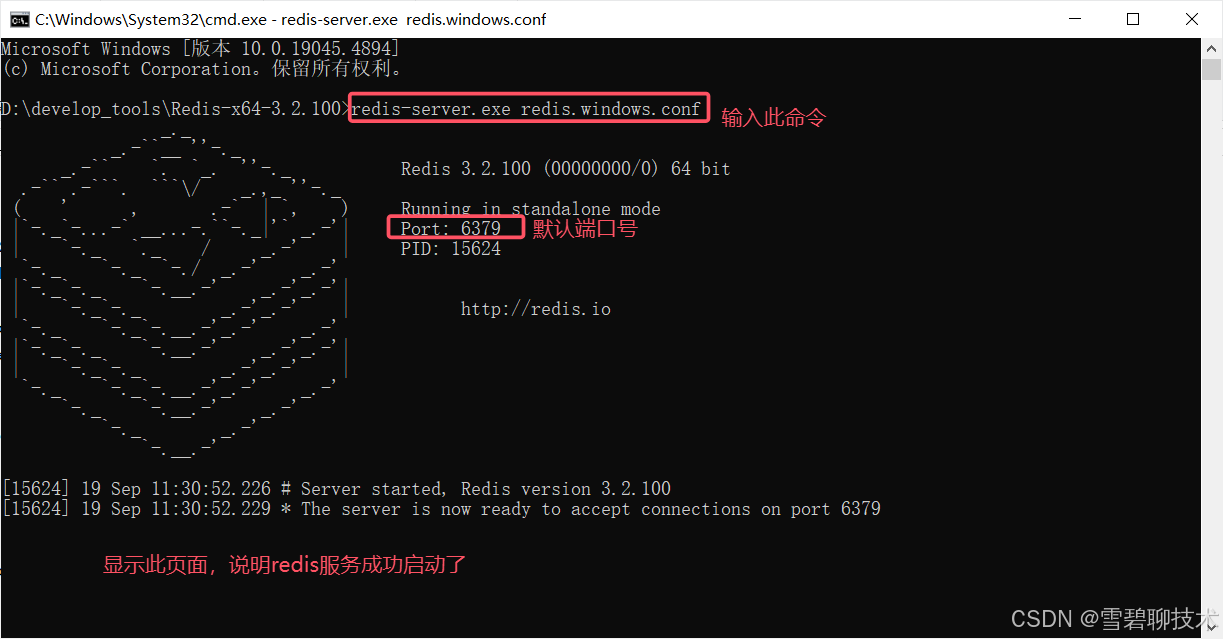 Redis简介与使用_redis官网-CSDN博客