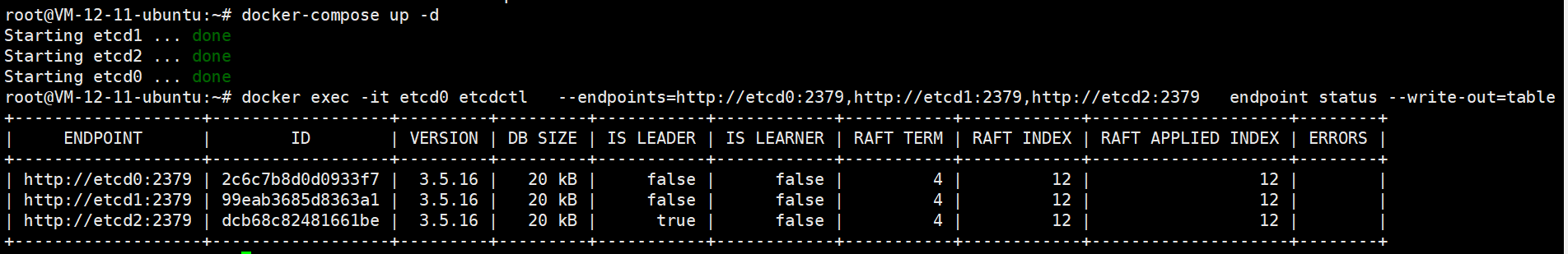 单台服务器利用 docker 进行 etcd 集群部署_docker etcd-CSDN博客