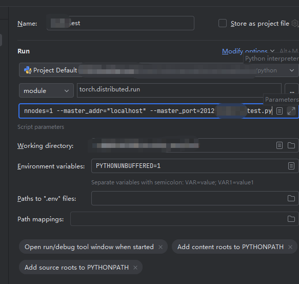 pycharm如何运行python -m torch.distributed.run-CSDN博客