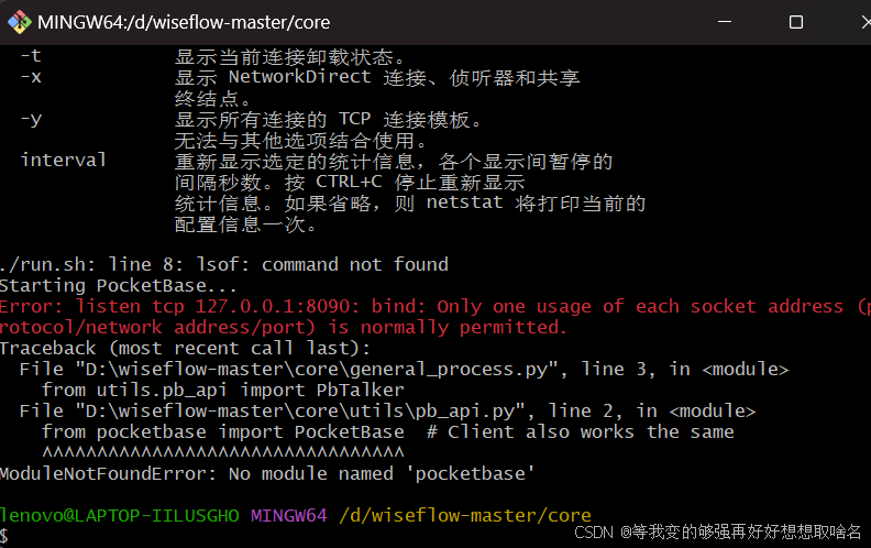 实习日志01-wiseflow部署_wiseflow本地部署-CSDN博客