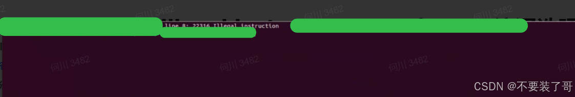 “illegal instruction”：一个Linux编译选项引发的“血案”——march配置-CSDN博客