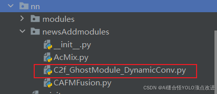 YOLOv10改进 | Conv改进篇 | YOLOv10引入DynamicConv替换普通Conv卷积下采样和C2f_GhostModule_DynamicConv替换C2f(来自 ...