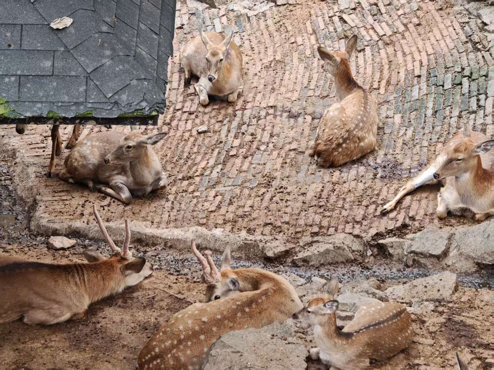 Claude Code 的使用_cc-switch-CSDN博客