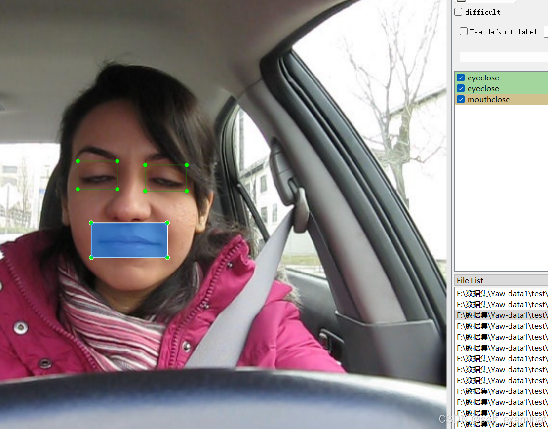 YOLO格式数据集合集_yawdd数据集下载-CSDN博客