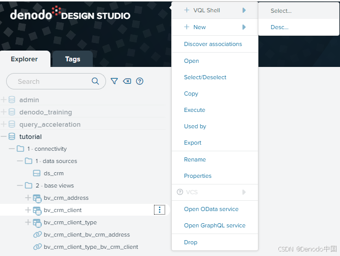 【初阶】手把手教你轻松上手Denodo | 执行查询（三）_csdn denodo-CSDN博客