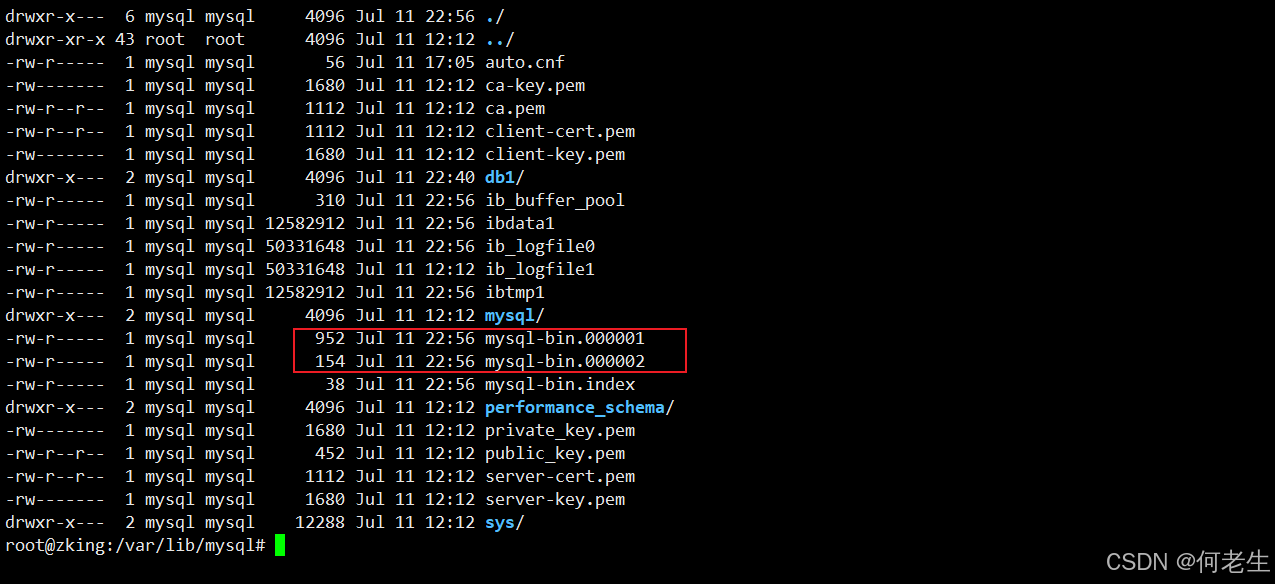 MySQL日志分类和介绍_mysql两种日志-CSDN博客
