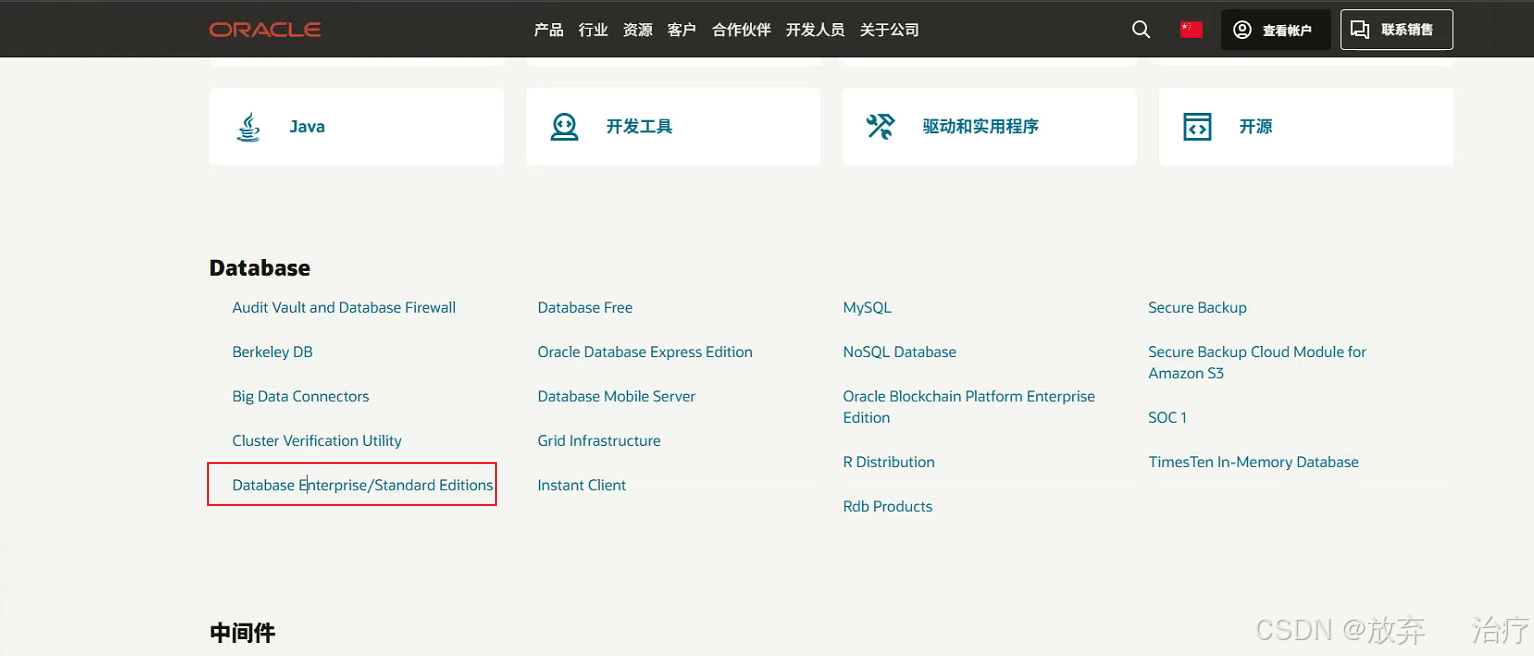 Windows 11环境下的（最新版本）Oracle数据库安装与配置详解_oracle win11-CSDN博客