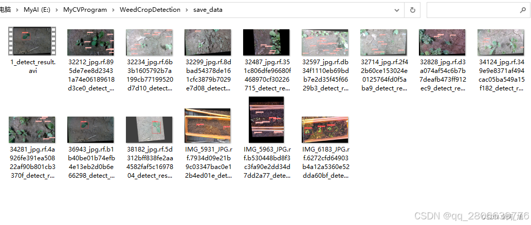 基于yolov8深度学习的农作物幼苗与杂草检测系统【python源码pyqt5界面数据集训练代码】深度学习实战、目标检测基于yolov8深度学习的农作物幼苗与杂草检测系统 经费预算
