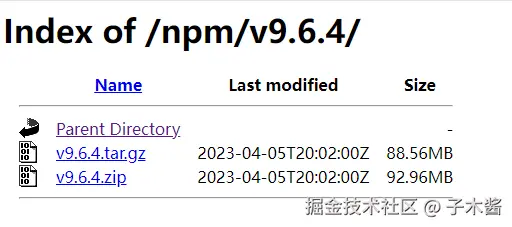 【NodeJS】- 使用NVM安装npm失败后，手动安装npm-CSDN博客