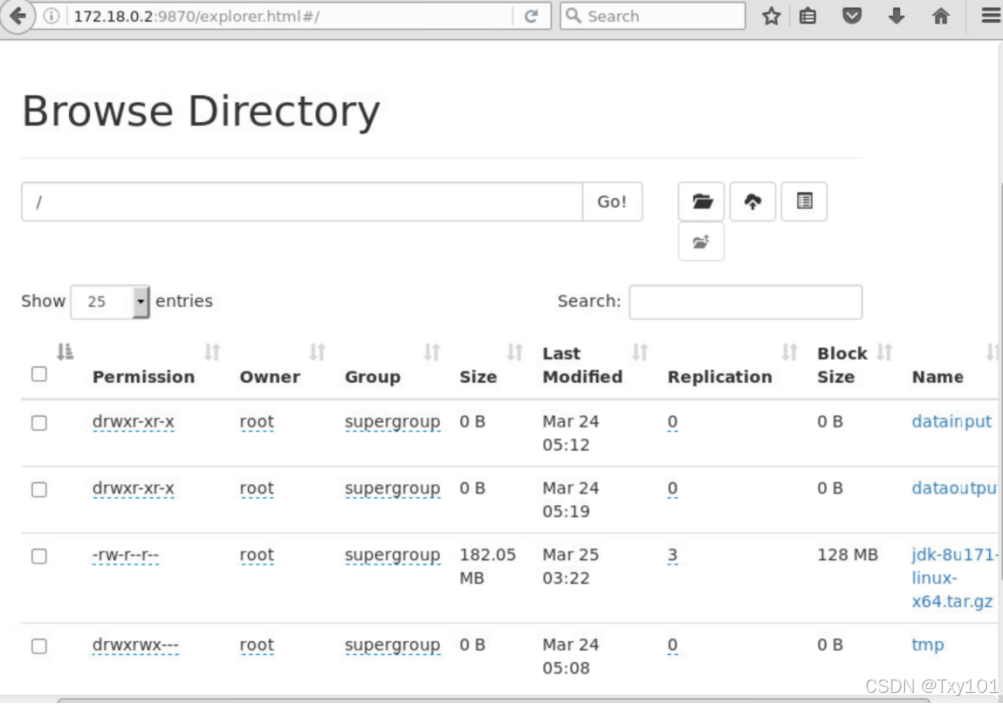 深入理解Hadoop HDFS_hdfs深入理解-CSDN博客
