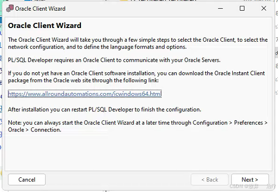Windows 11 系统 Oracle PLSQL 工具（PL/SQL Developer 最新版本）完整安装与配置教程_plsql 安装-CSDN博客